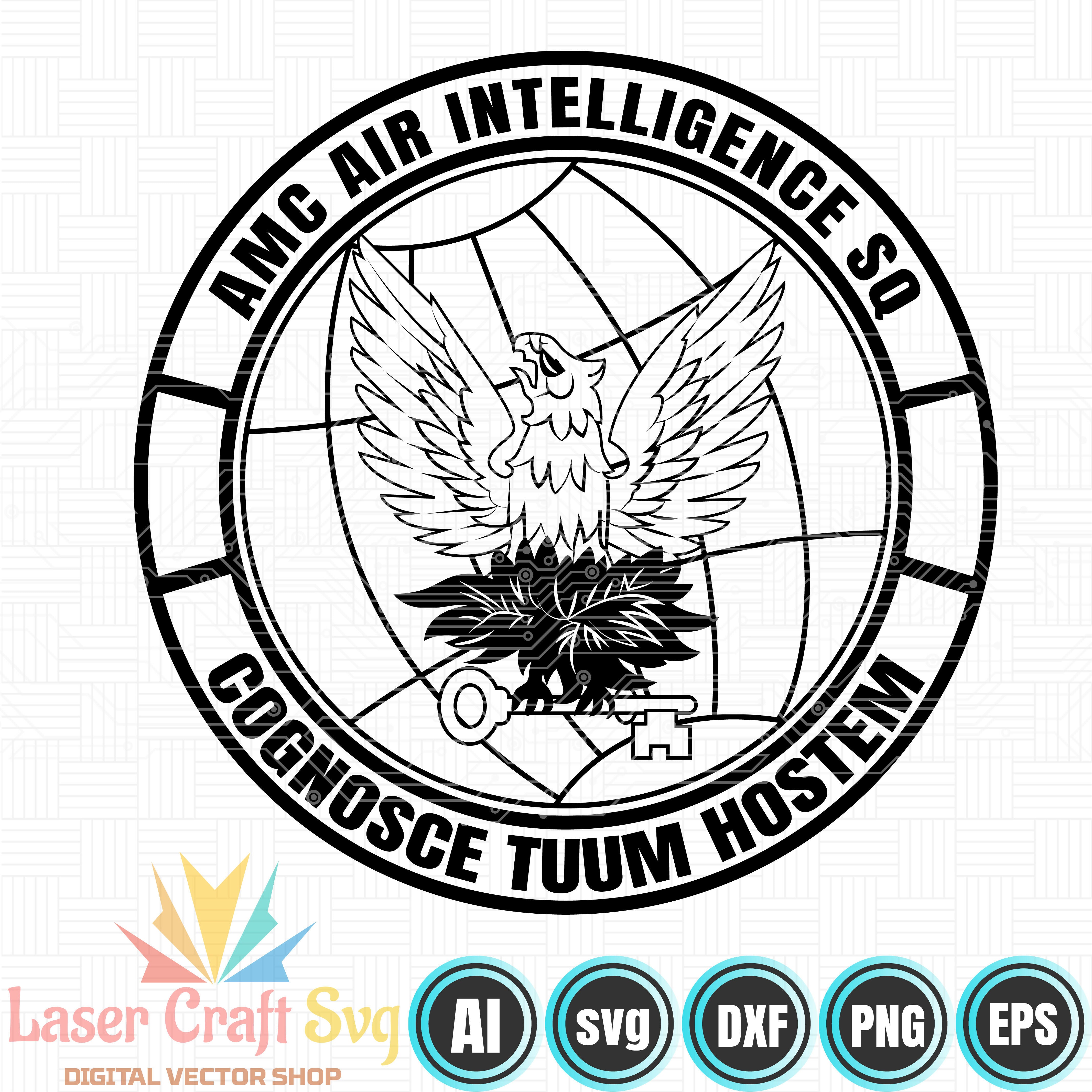 Amc Air Intelligence Cognoscente Air Force Badge
